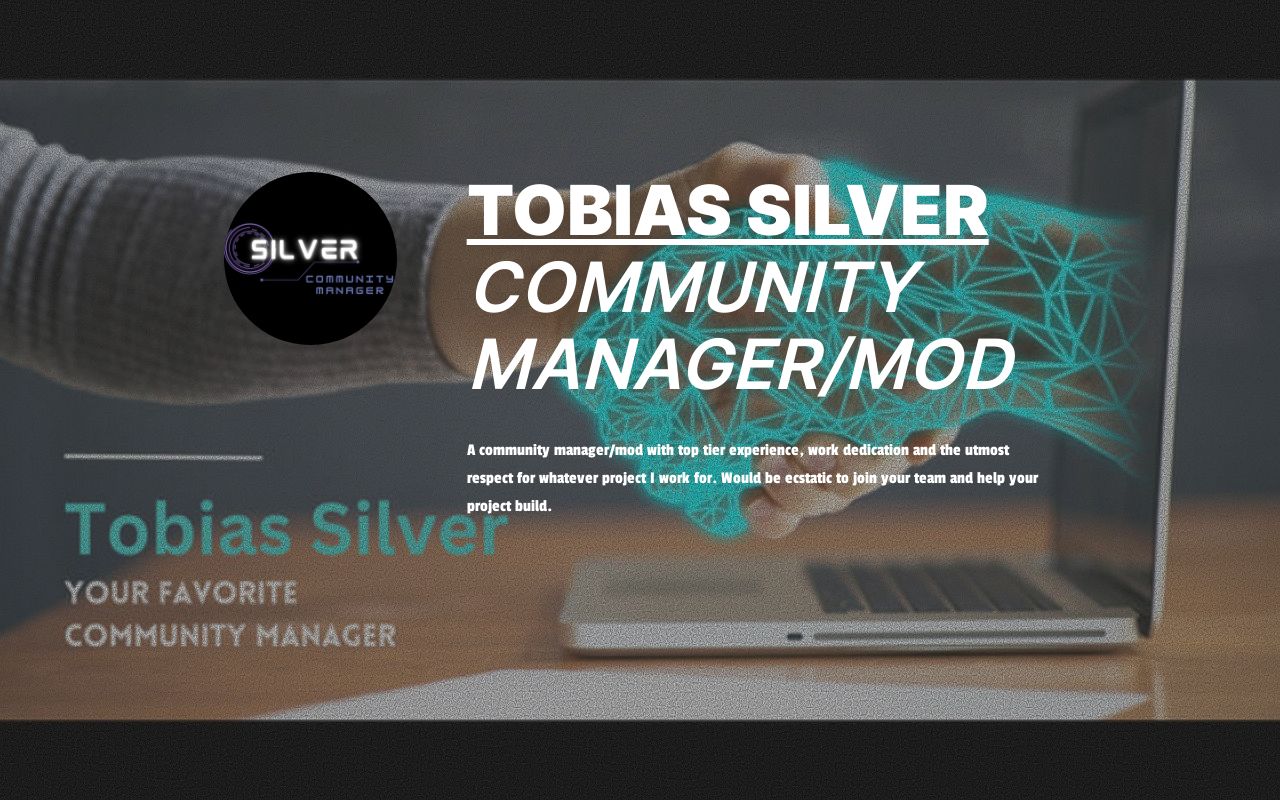 Silver’s Portfolio